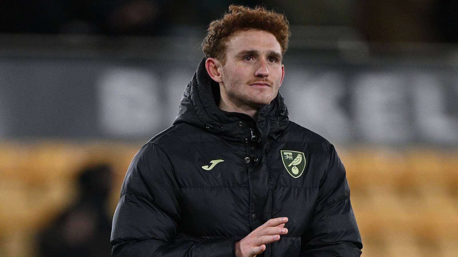 Philippe Clement breaks silence on Josh Sargent, situation at Norwich ...