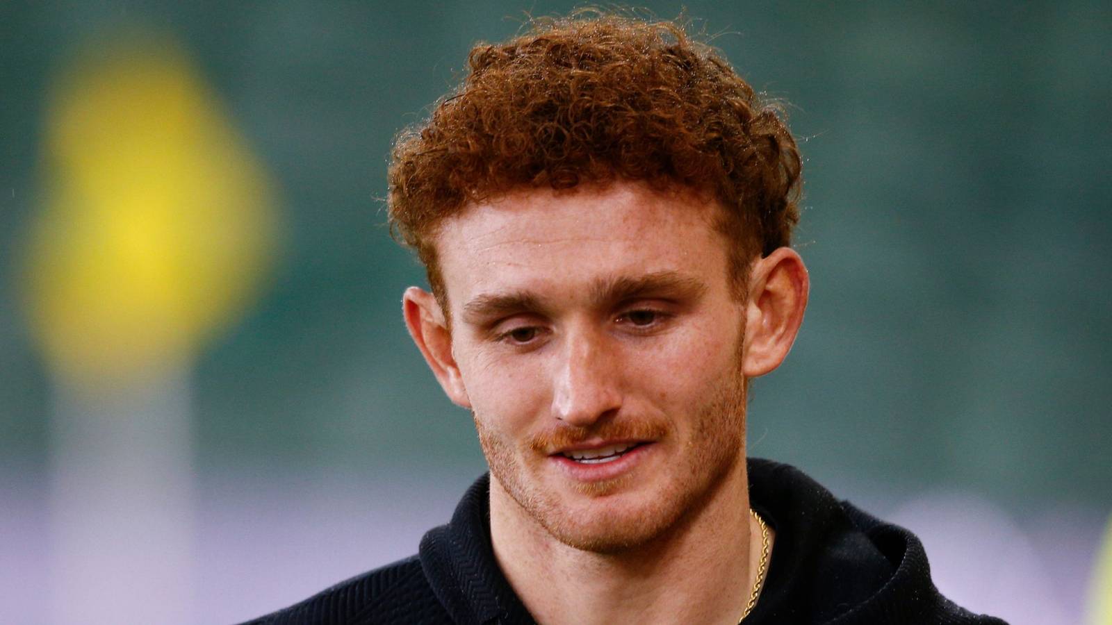 Birmingham City urged to eye bold Che Adams and Josh Sargent transfers