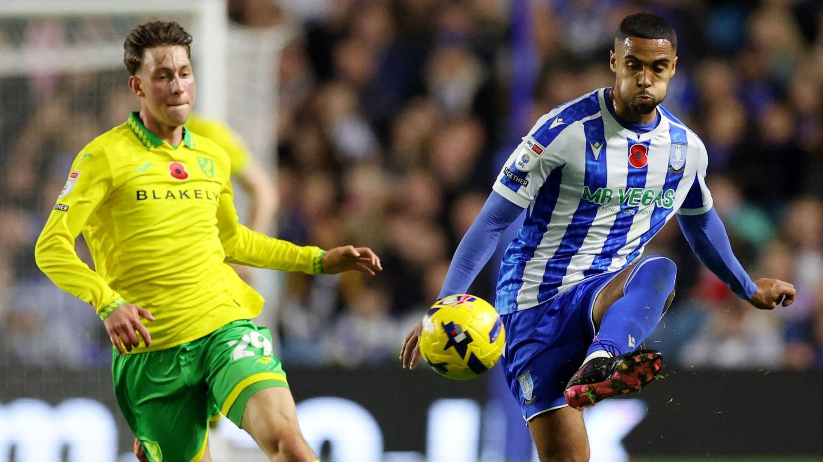 Sheffield Wednesday fans could be furious at Danny Rohl over Rangers ...