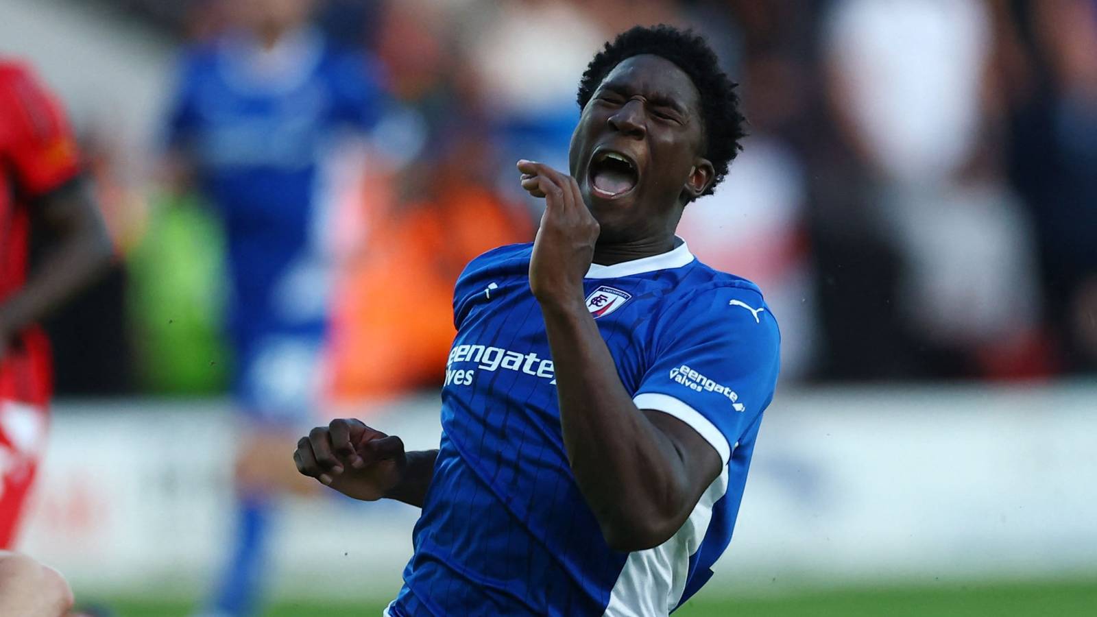 Celtic want Plymouth Argyle star: Derby County, Sheffield United and ...