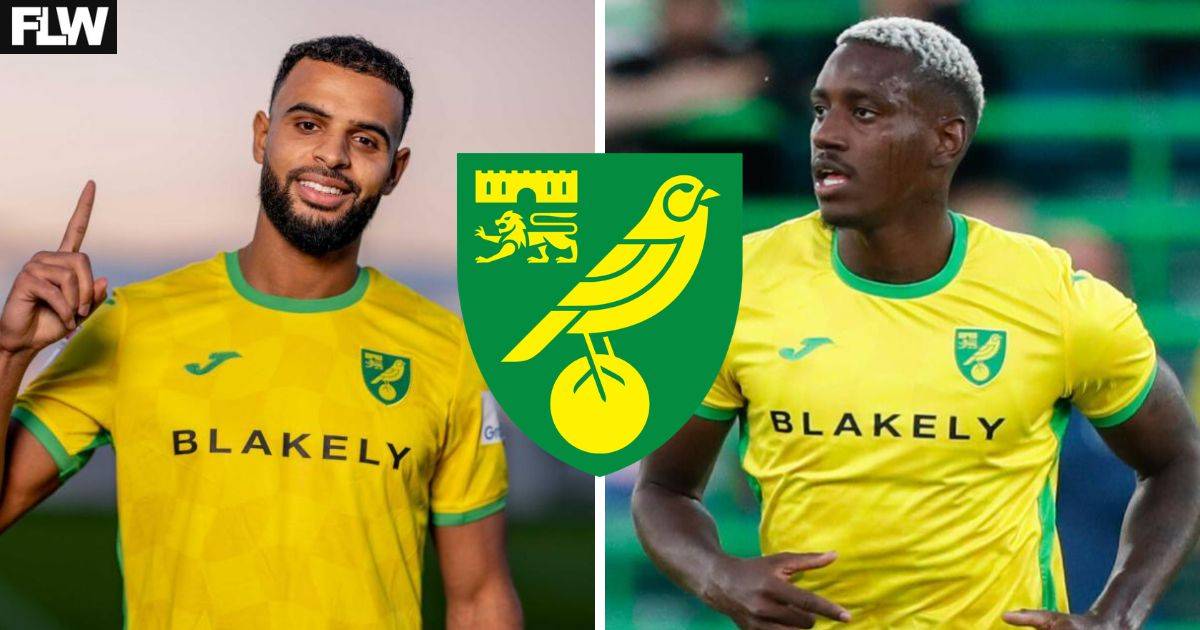 Norwich City's Mo Toure injury blow: Anis Slimane, Jose Cordoba react