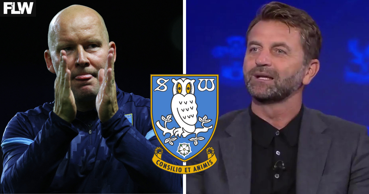 Tim Sherwood: Sheffield Wednesday are a Premier League club & job is ...