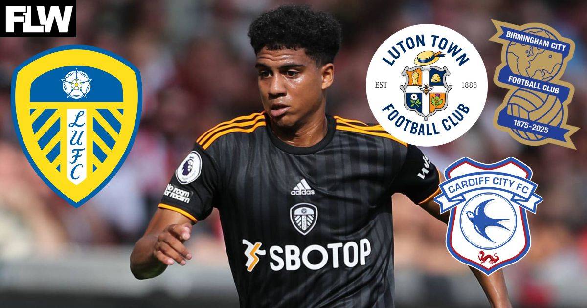 Birmingham City, Cardiff & Luton shared Leeds United transfer gold