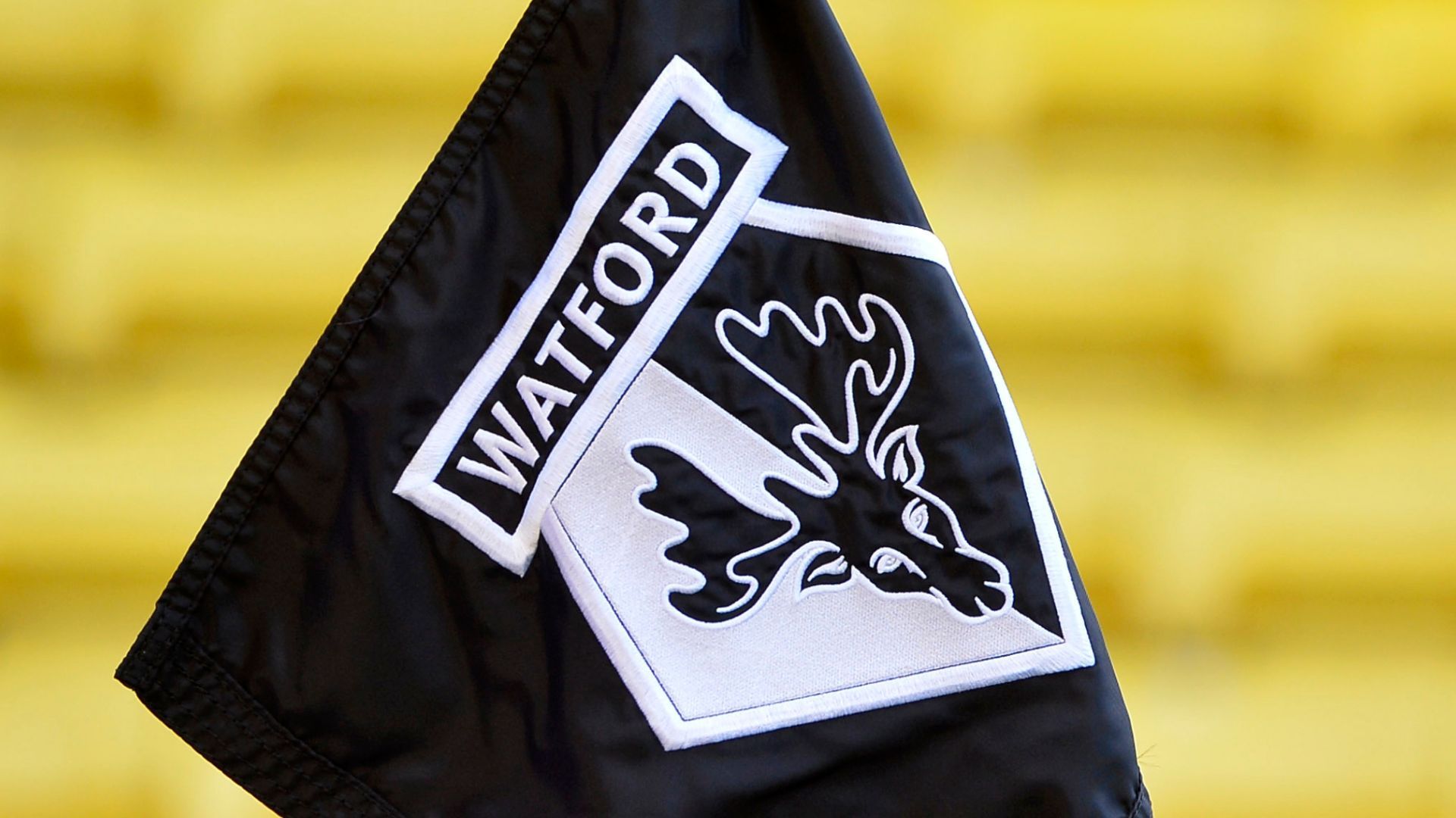 Who is Edward Still? Watford FC's potential next Head Coach
