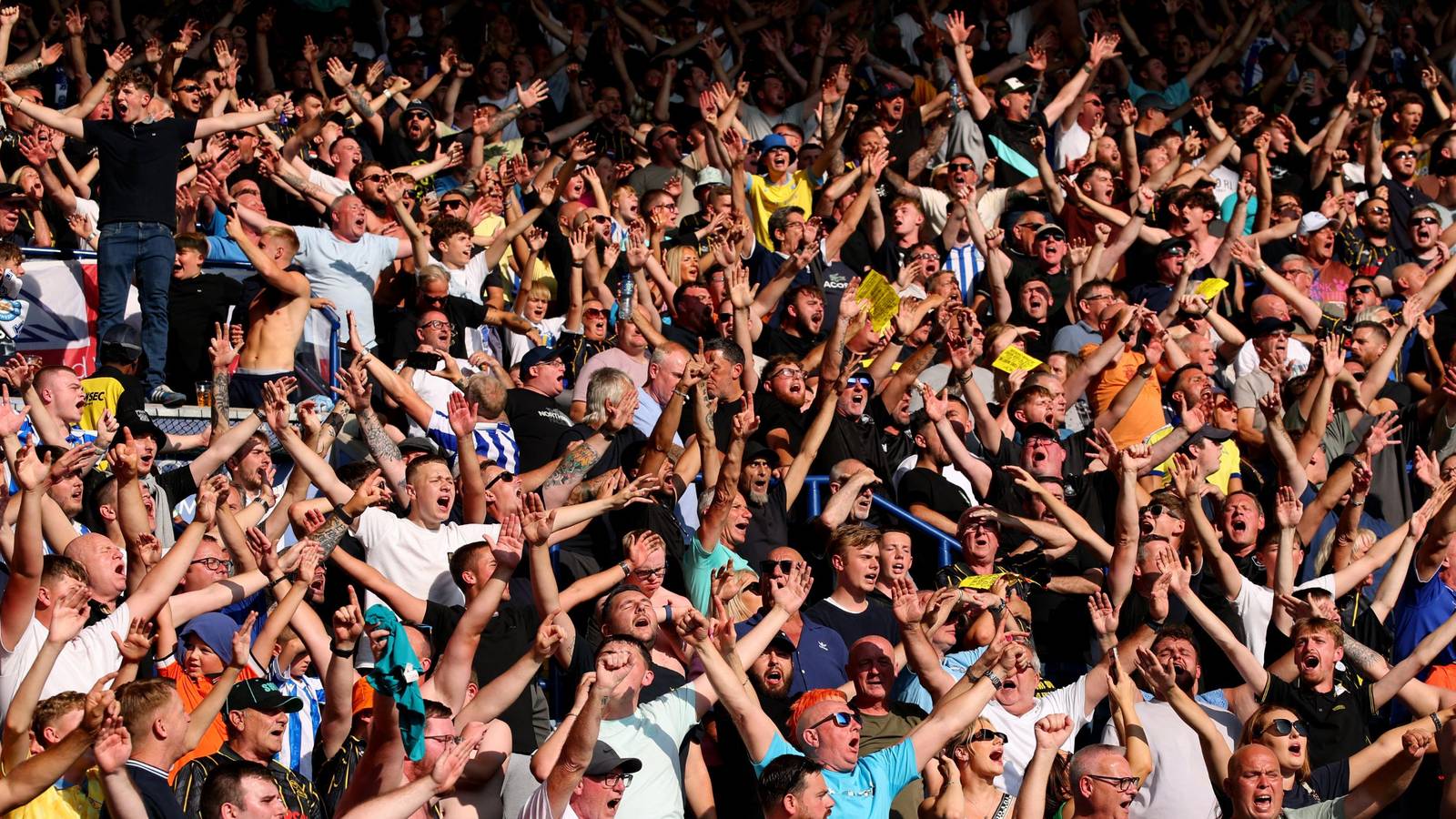 David Storch sends new message to Sheffield Wednesday fans - action is ...
