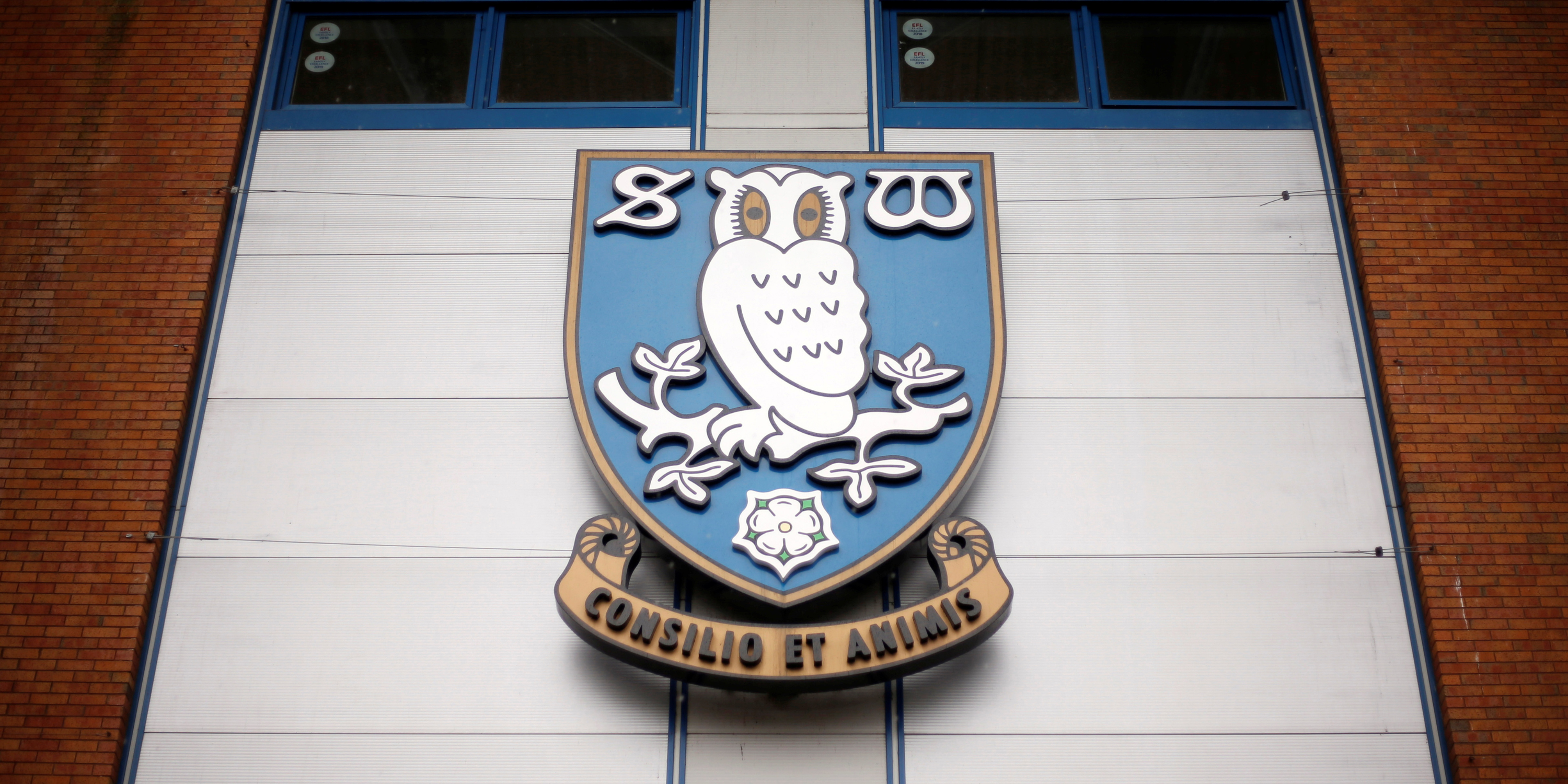 Sheffield Wednesday: David Bruce reveals huge off-pitch appointment is near