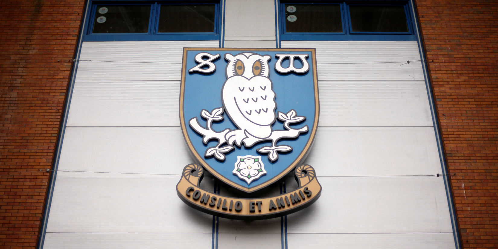 Sheffield Wednesday dodged serious James Bord takeover bullet based on ...