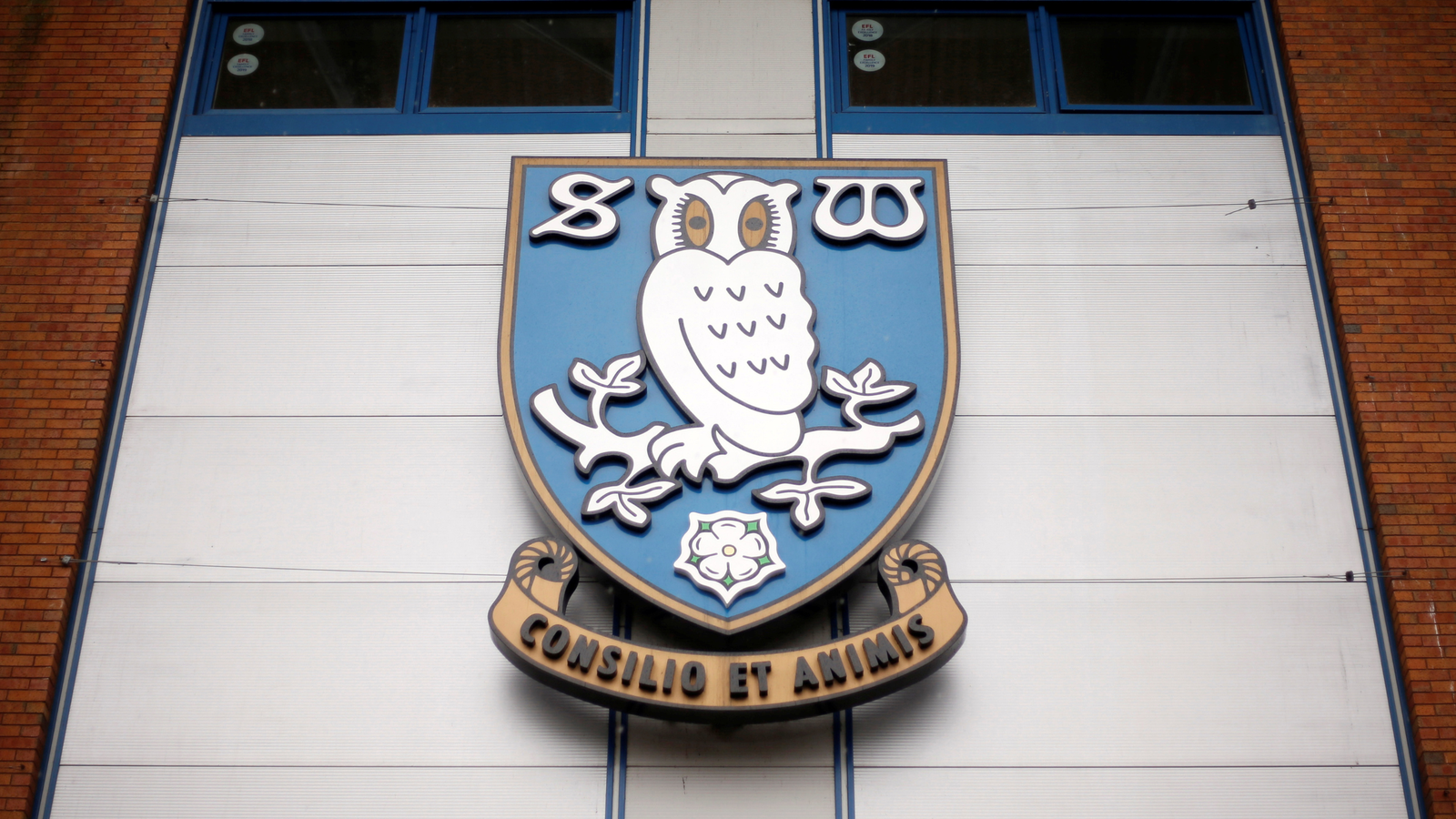 Sheffield Wednesday: David Bruce reveals huge off-pitch appointment is near
