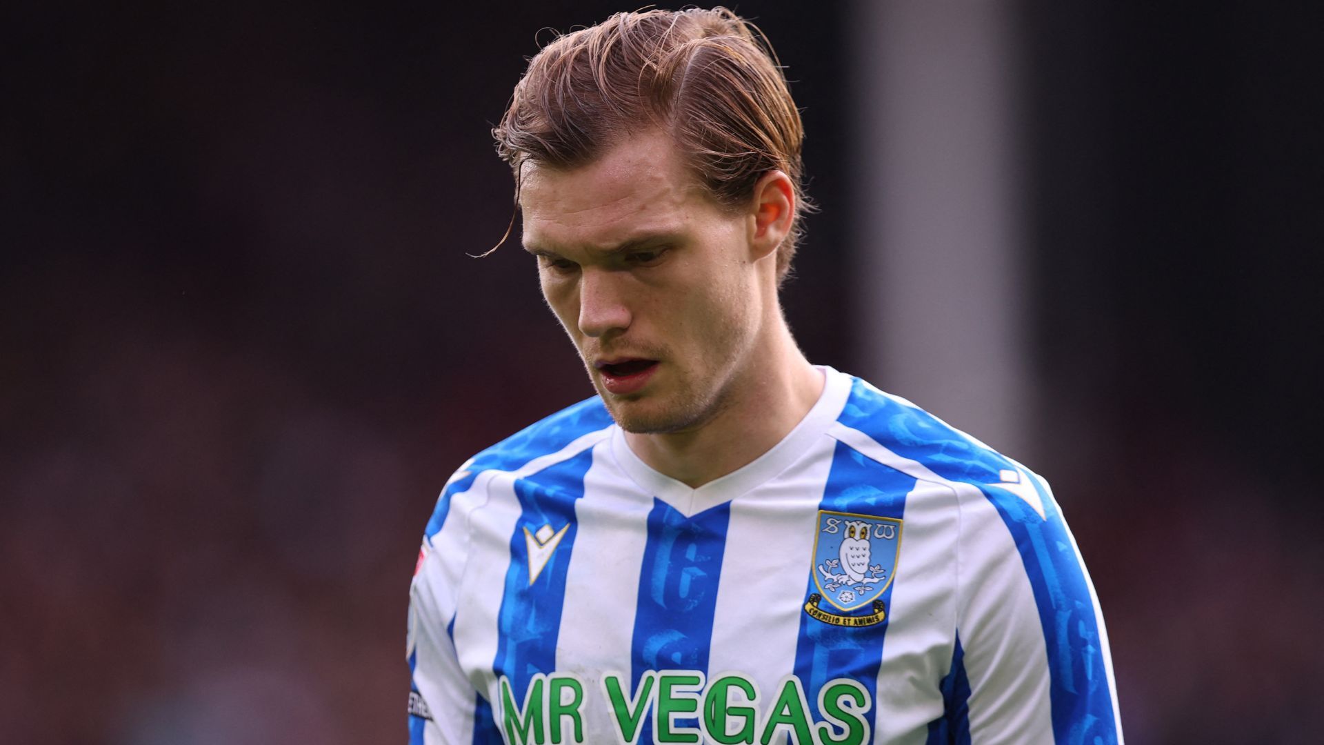 Sheffield Wednesday backed to land new CEO - 'it’s a shame for Sunderland'