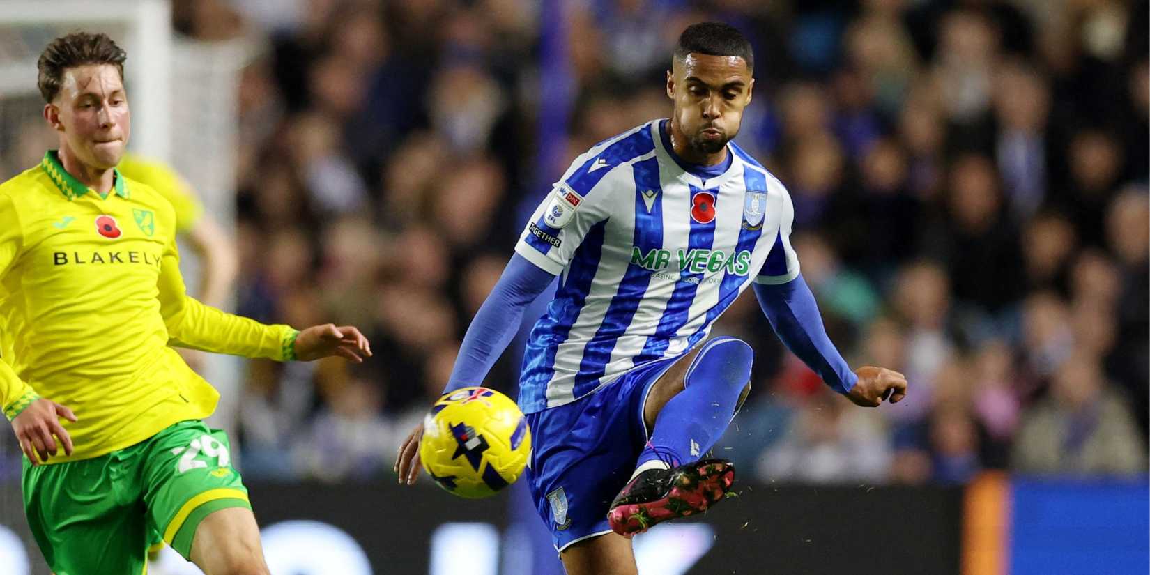 'Who could blame him?' - Sheffield Wednesday star tipped to leave as ...