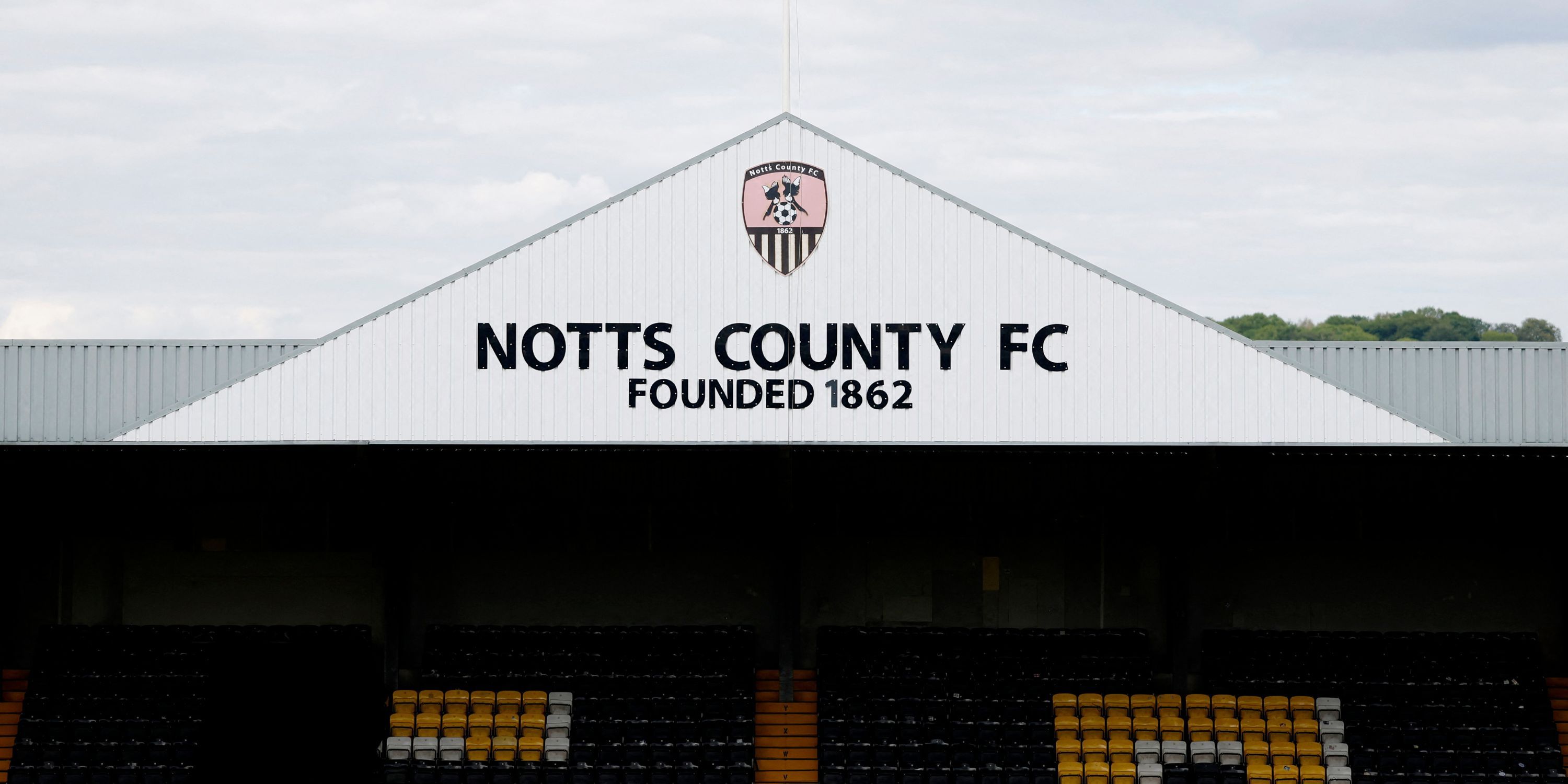 Why Notts County owners Chris & Alex Reedtz have appointed Martin ...