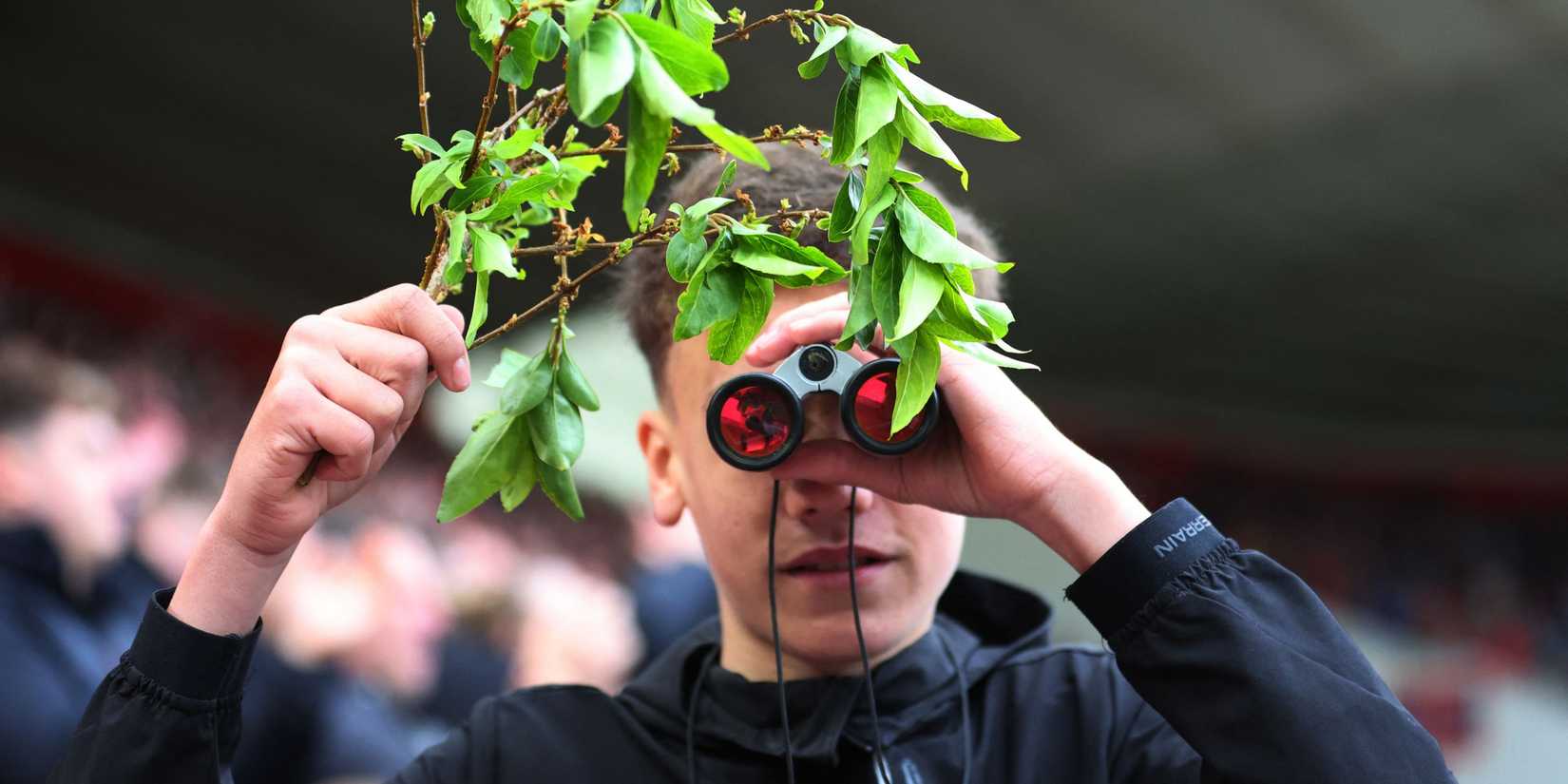 New Spygate timeline emerges as Southampton & Middlesbrough ready for ...