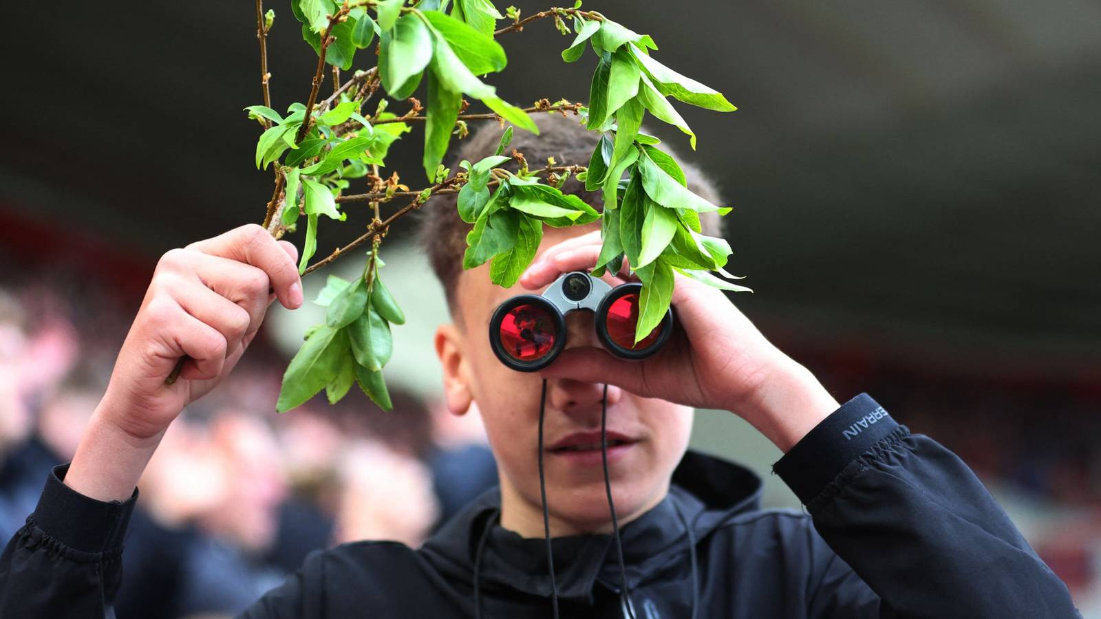 Hull City view given on 'nightmare' Middlesbrough, Southampton Spygate ...