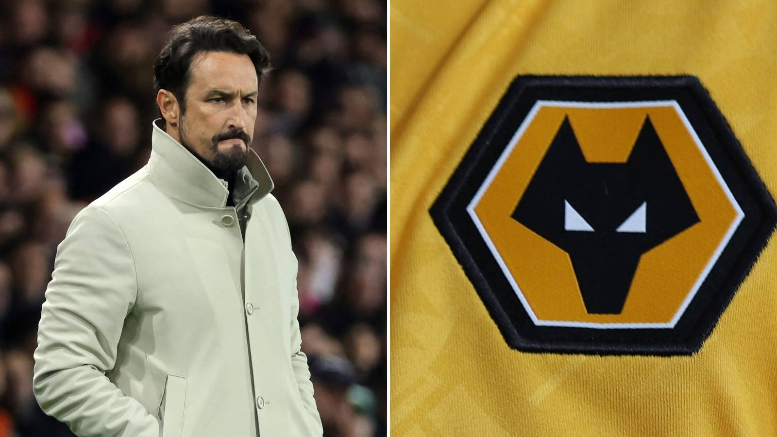 How much money Wolves are paying to appoint Cesar Peixoto