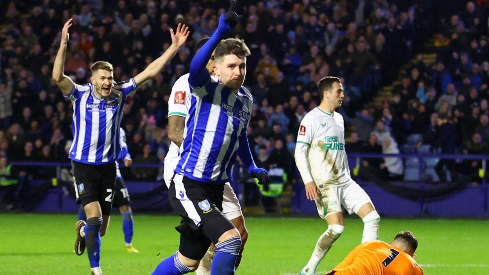 Josh Windass drops three-word Sheffield Wednesday message