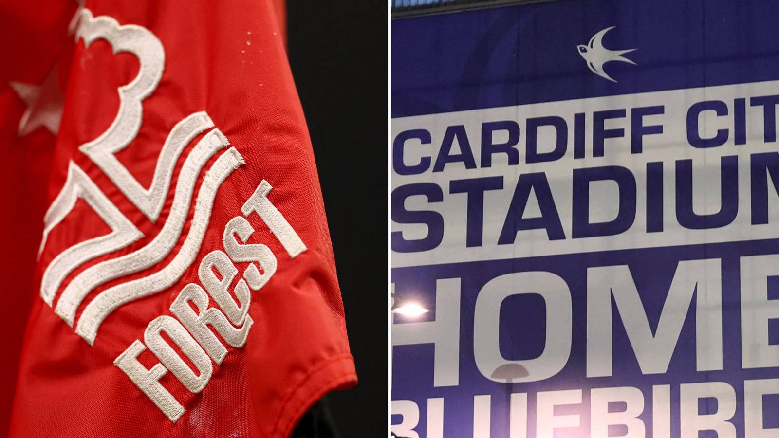 Ex-Nottingham Forest and Cardiff City boss facing sack from World Cup job